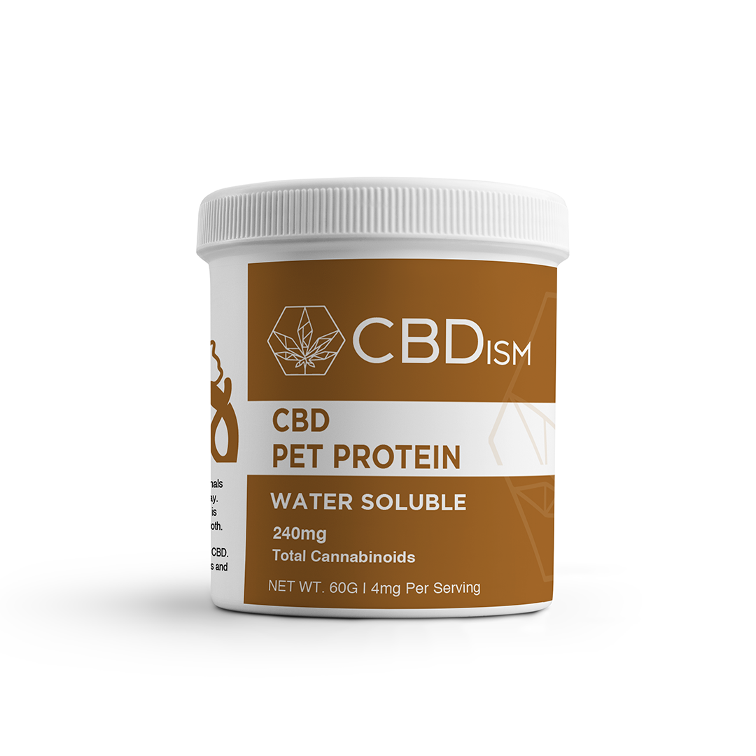 The Benefits and Risks of CBD For Pets – D Squared Worldwide Inc