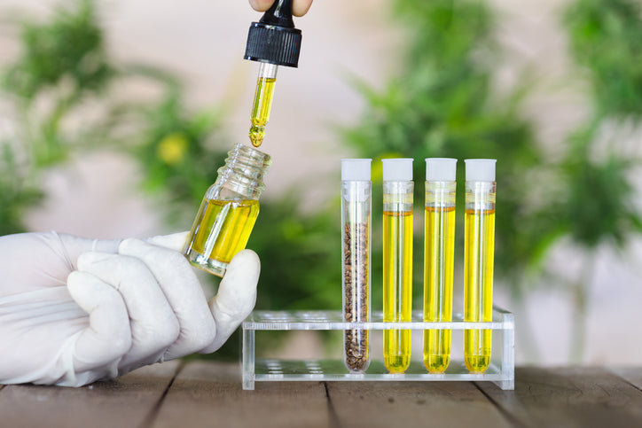 The Rise of CBG Products: What Sets Them Apart from CBD and THC
