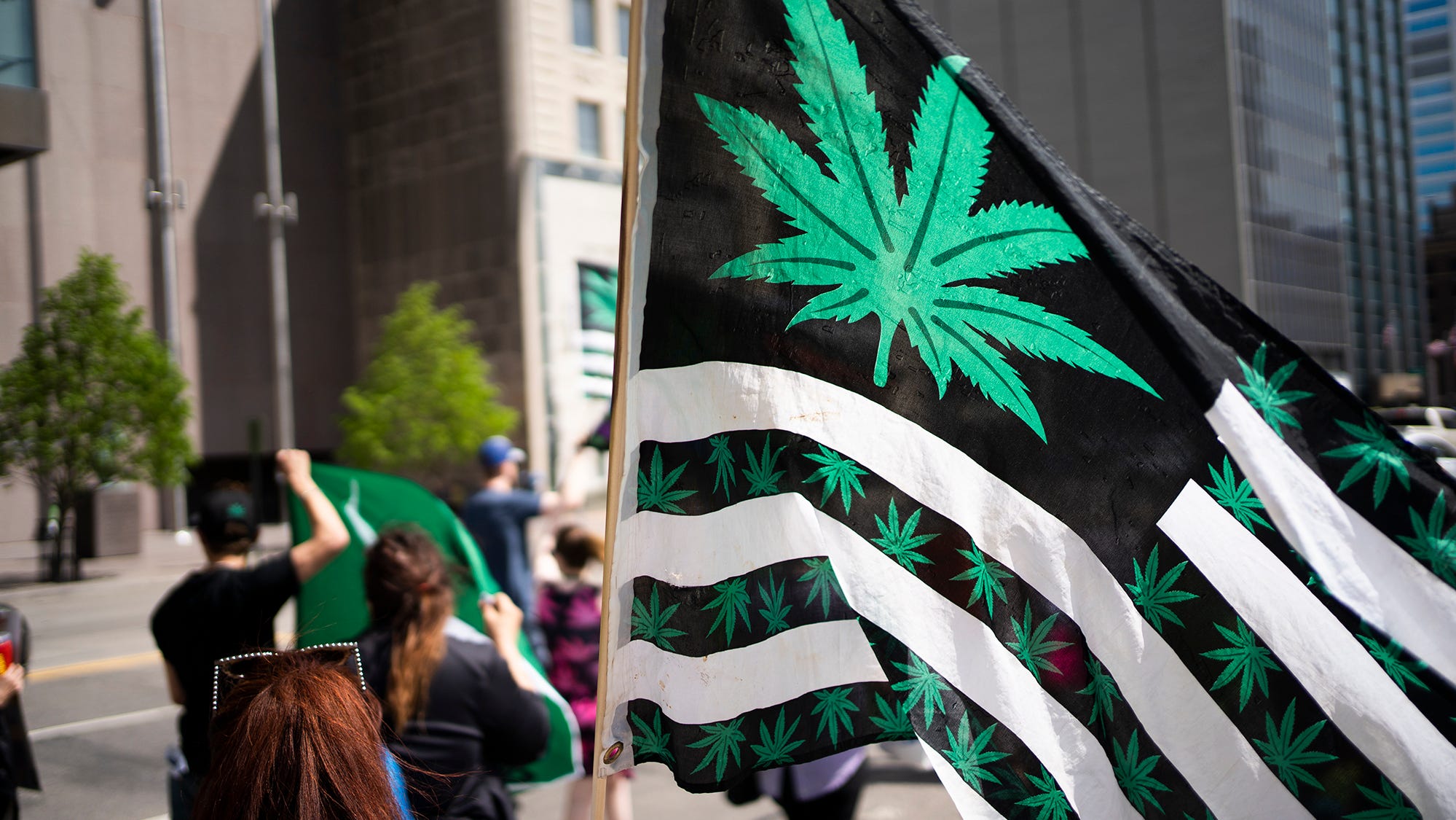 Recreational Marijuana & Opioid Deaths: Is There a Real Connection?