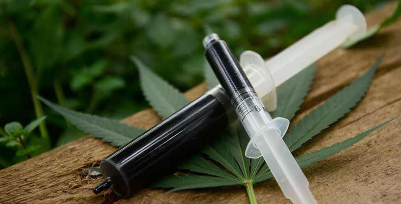 Navigating the World of Rick Simpson Oil: What You Need to Know
