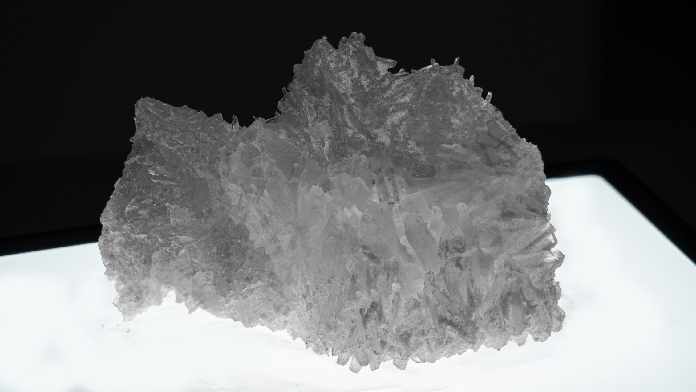 Exploring the Sparkle: A Deep Dive into the World of White Label THCA ...