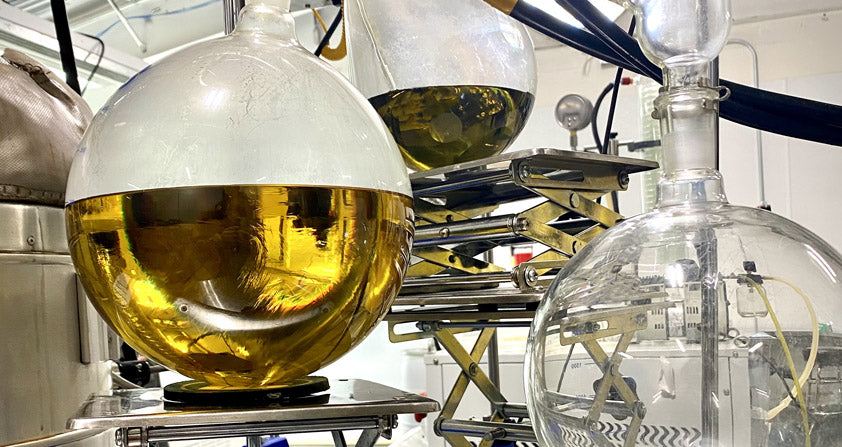 How Do I Use Cannabis Distillate and What Is It? – D Squared Worldwide Inc